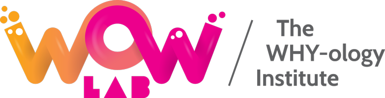 Jocul de rol, cum ajuta la dezvoltarea copiilor, exemple | Wowlab.ro