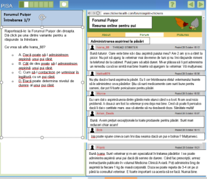 Teste PISA: ce sunt - Modele teste PISA | Wowlab.ro