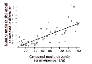 Teste PISA: ce sunt - Modele teste PISA | Wowlab.ro